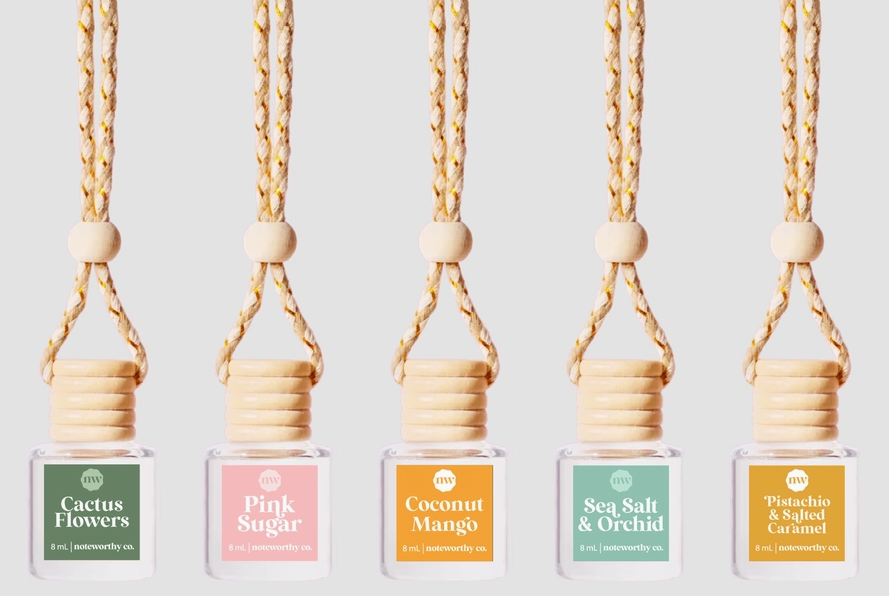 Car Diffusers – thecraftycannolico